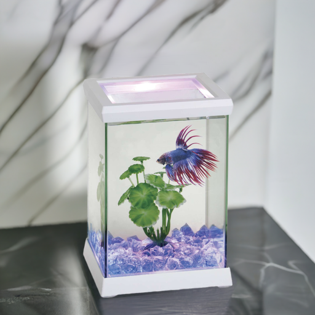 Betta Space LED de 4.95 litros ☆ ICA » LosPeces.es 🐟🐟